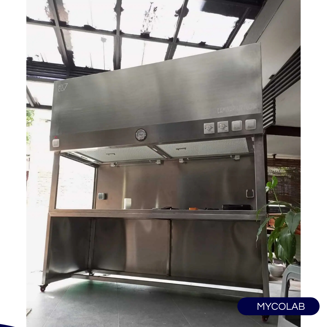 Laminar Air Flow Type S2000 | Mycolab
